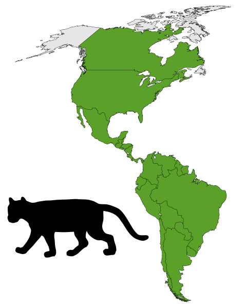 Puma distribution map Royalty free photo 4672388 PantherMedia Stock Agency